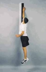 AVERAGE VERTICAL JUMP FOR MEN AND WOMEN - The Exercisers